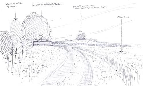 Practice | Seed Landscape Design ltd